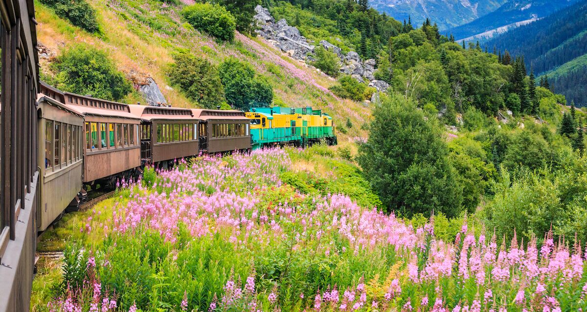 White Pass & Yukon Route Railroad: All You Need to Know