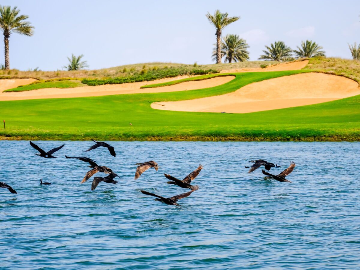 Audubon Golf Courses: 9 Destinations Working to Protect Wildlife