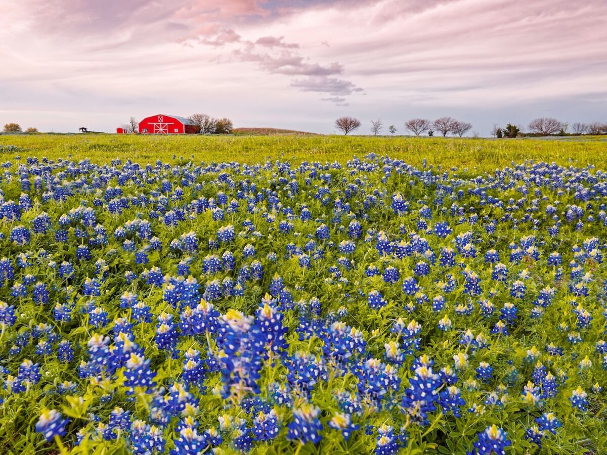 Exploring the Small Towns of Brazos Valley, Texas