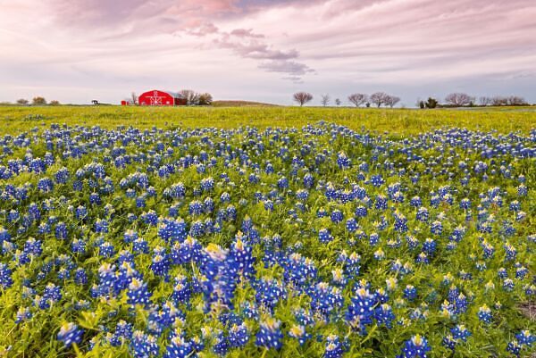 Exploring the Small Towns of Brazos Valley, Texas
