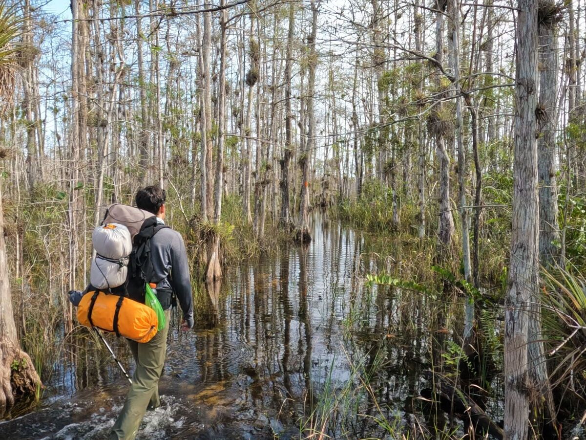 Swamp Walking Is the Coolest Way to Explore US Wetlands and Parks