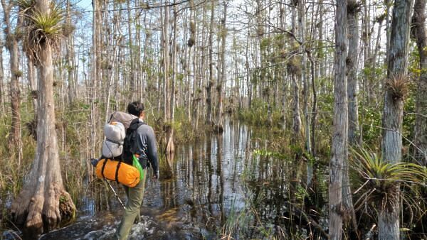 Swamp Walking Is the Coolest Way to Explore US Wetlands and Parks