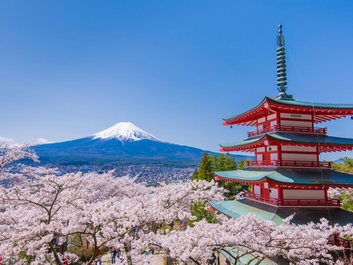Mount Fuji View Blocked Due to Badly Behaved Tourists