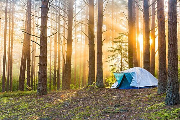 Everything You Need to Know About Wild Camping Around the World