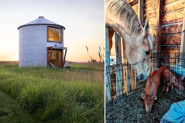 10 of the Best Montana Airbnb Farm Stays