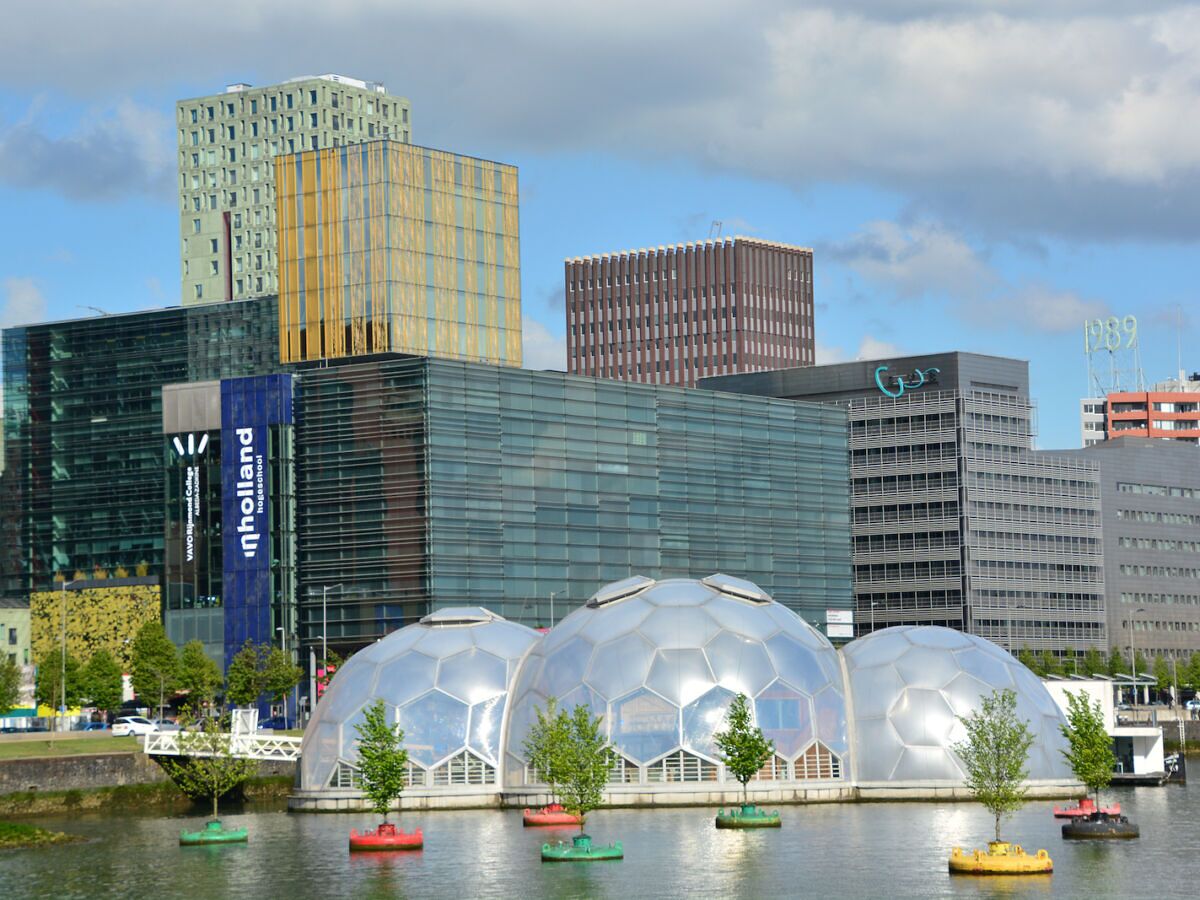 Everything to Know About the Rotterdam Floating City Tour