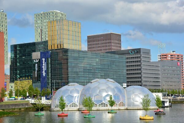Everything to Know About the Rotterdam Floating City Tour