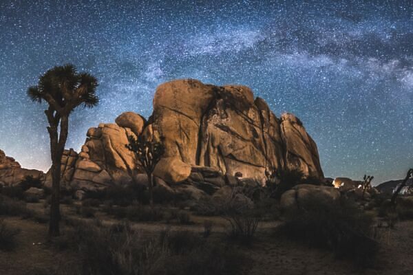 Tickets for Joshua Tree's Night Sky Festival Go on Sale Today