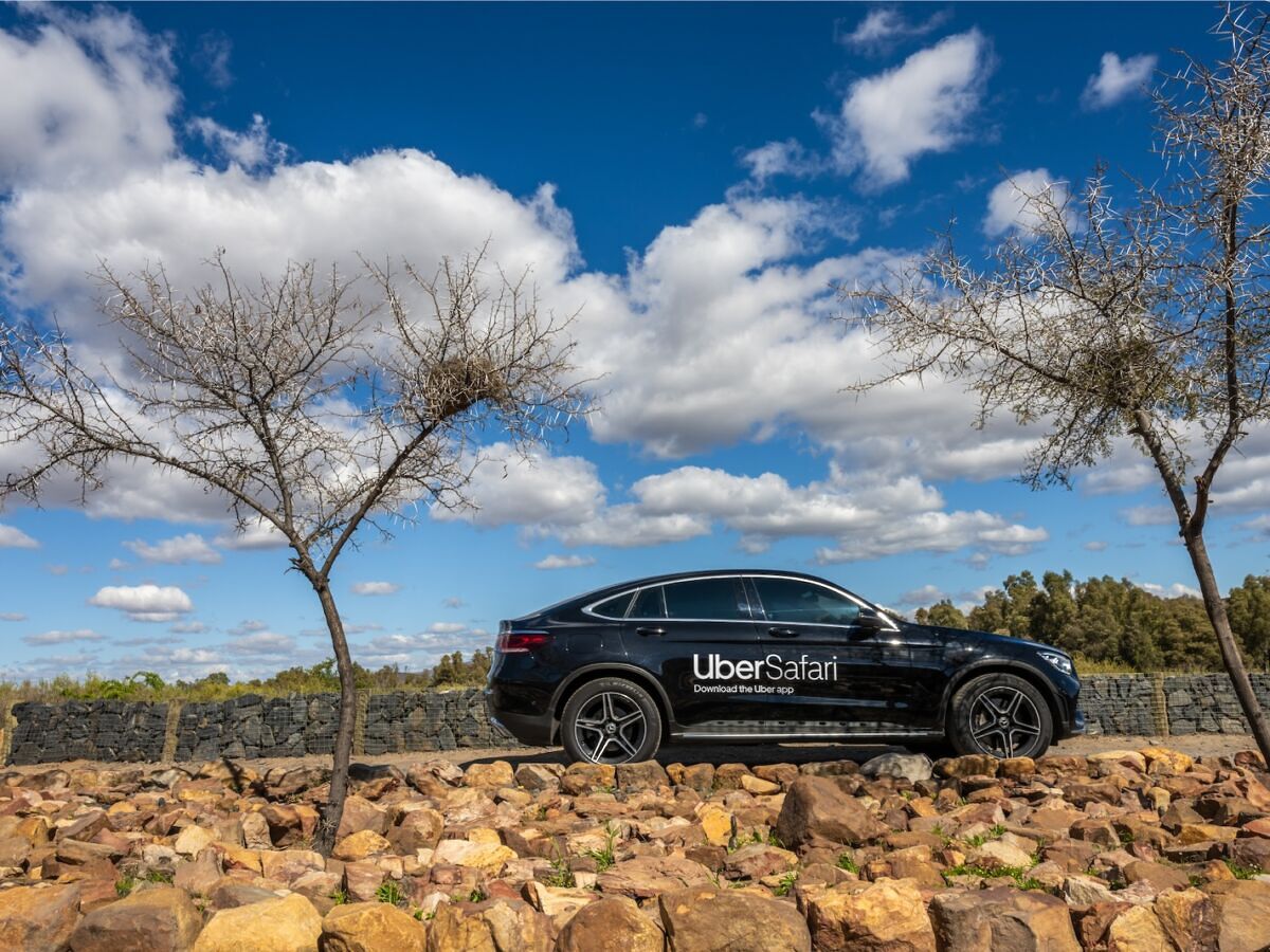 New 'Uber Safari' May Be the Cheapest Safari Deal in South Africa