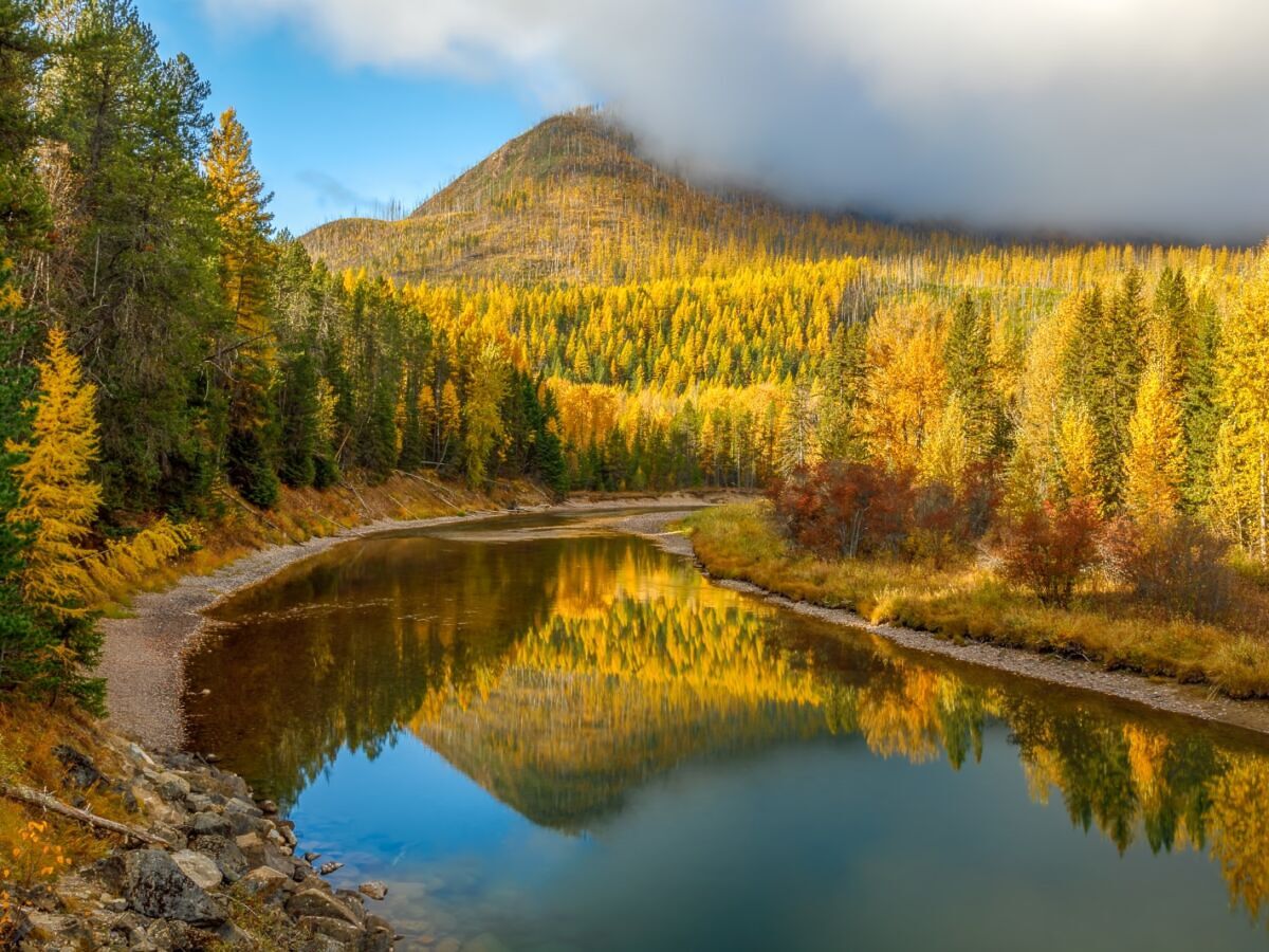 Where to See the Best Foliage in Montana in the Fall
