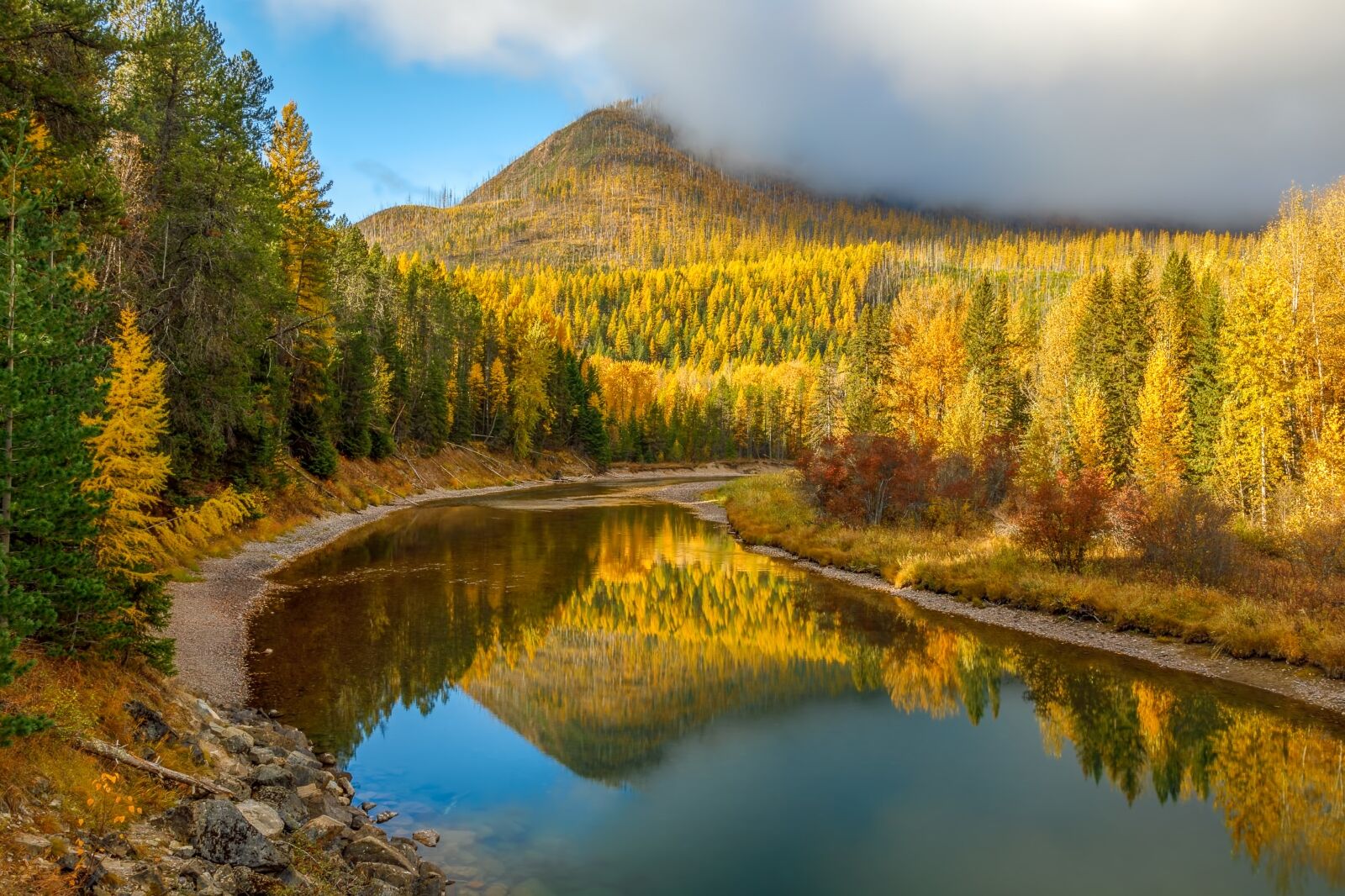 Where to See the Best Foliage in Montana in the Fall