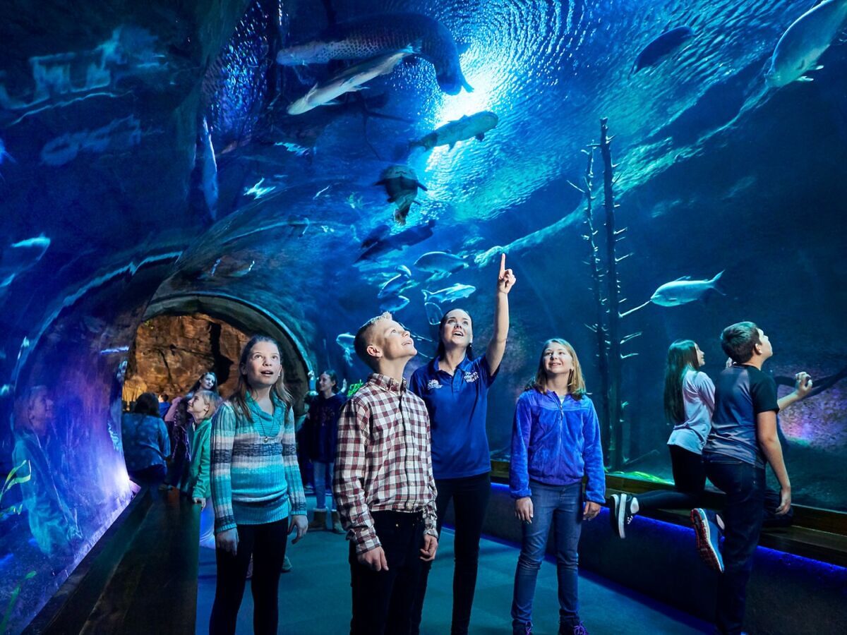 Wonders of Wildlife Museum: How to Make the Most of Your Visit