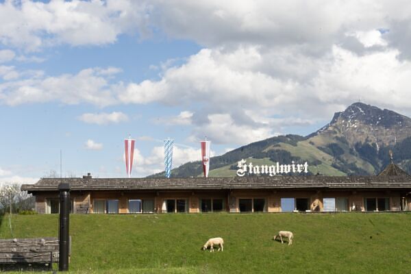 Stanglwirt Review: Wellness and Sustainability Shine in the Austrian Alps