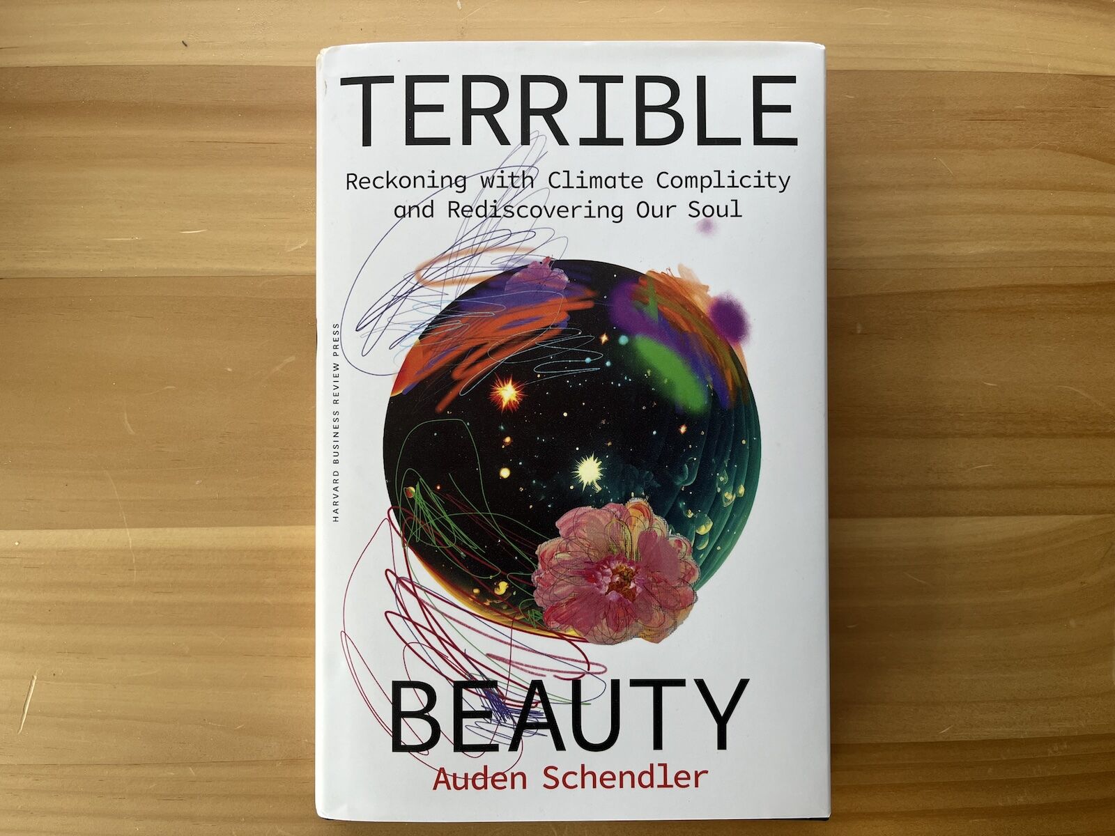 'Terrible Beauty' by Auden Schendler Review: A Must-Read for Outdoorspeople