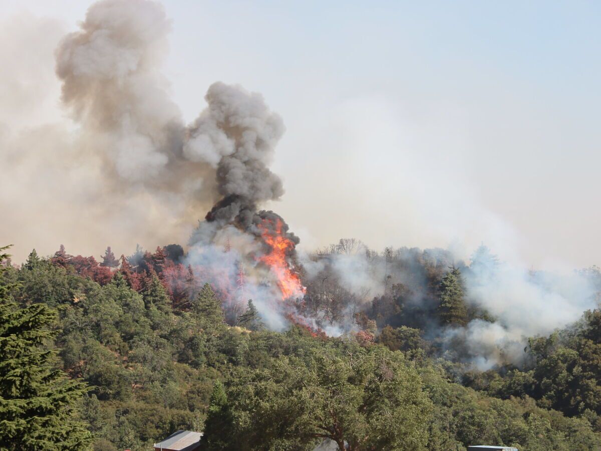 From Paradise to Palisades: Comparing Damage From Recent California ...