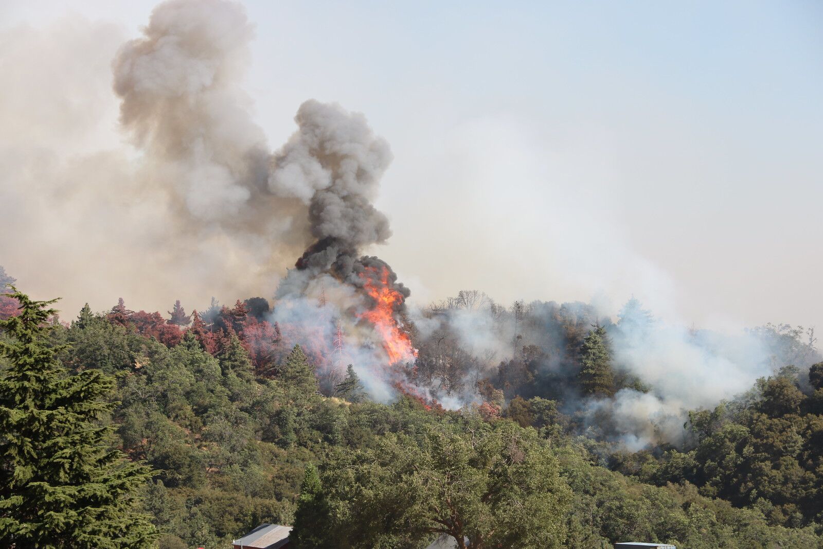 From Paradise to Palisades: Comparing Damage From Recent California ...