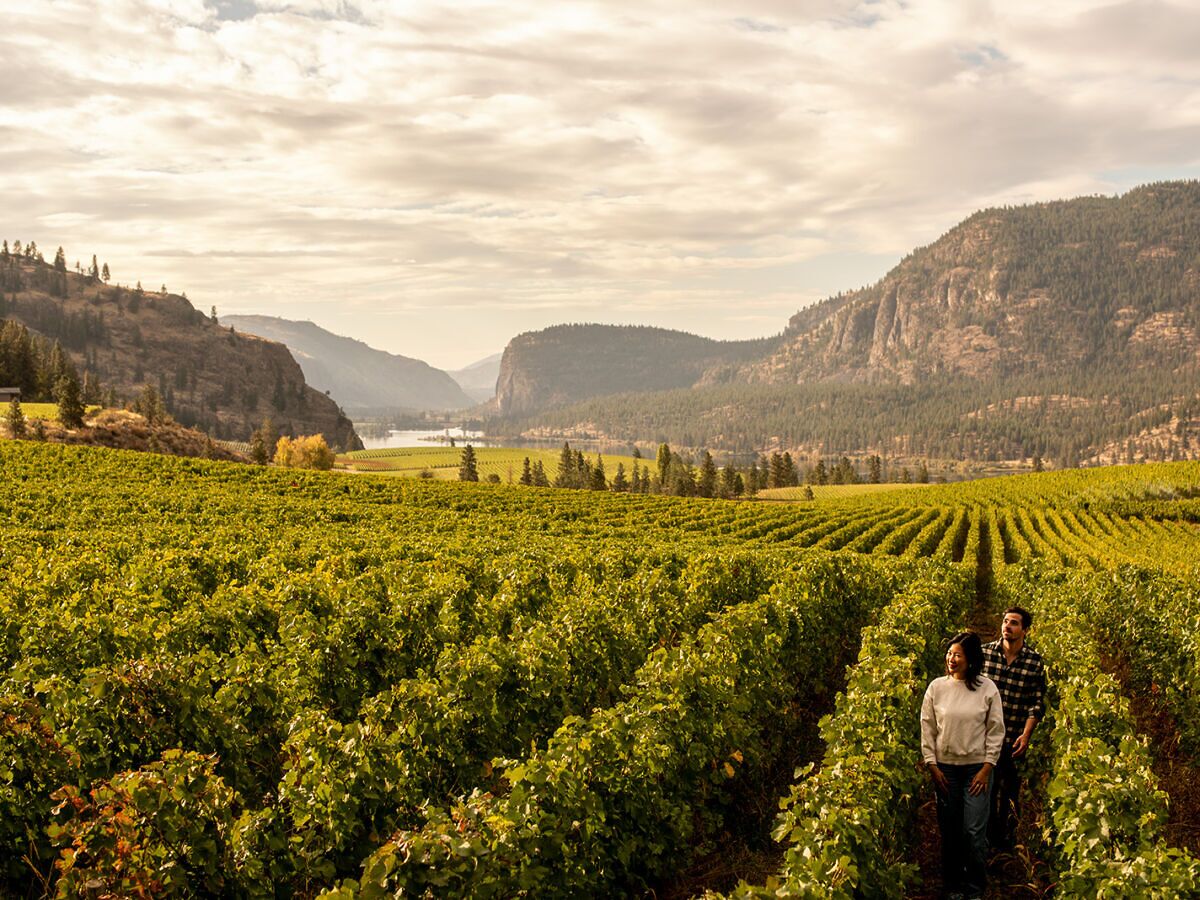 Nature Nurtures You in the Valleys & Vineyards of British Columbia