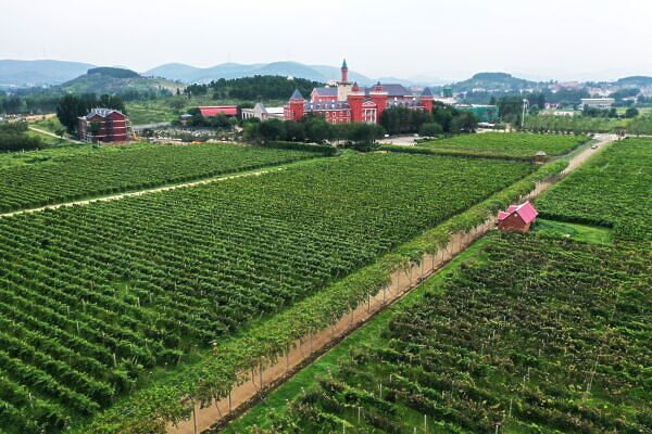 2025 Global Wine Awards