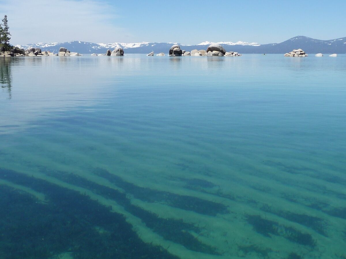 What a Camera Found for the First Time at the Bottom of Lake Tahoe
