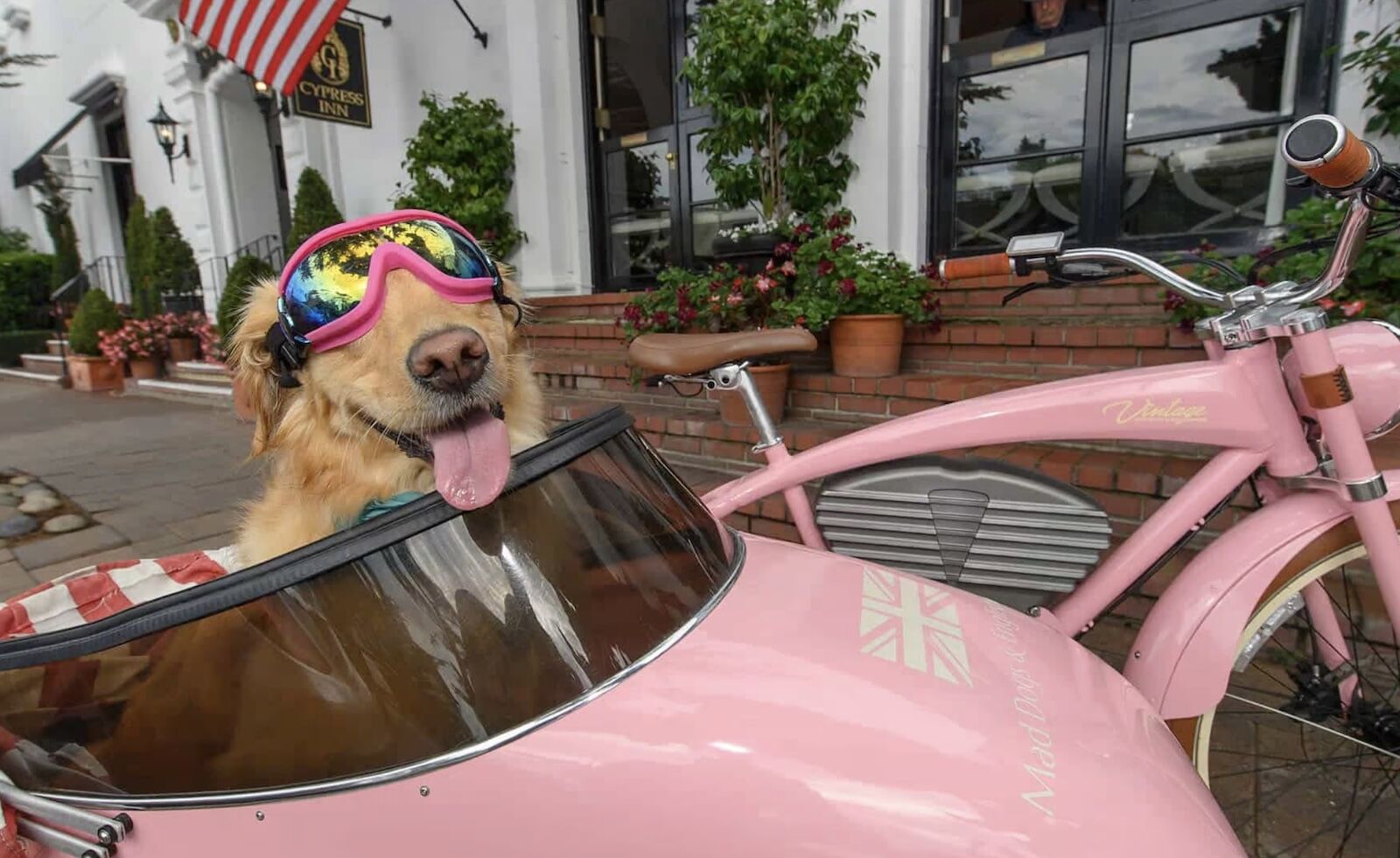 The Best Dog-Friendly Destinations of 2026: Carmel and Monterey, California