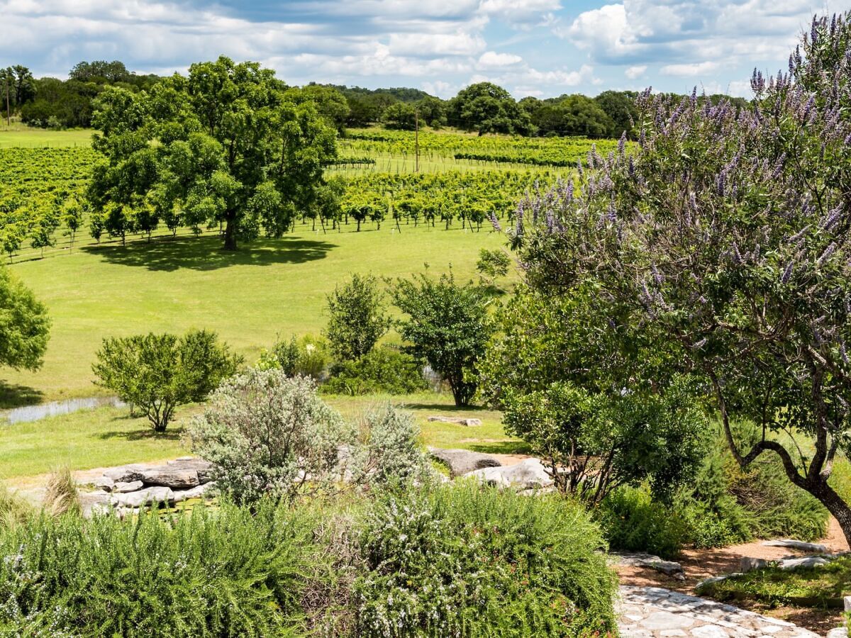 Texas Hill Country Wine Passport: Explore Dozens of Wineries