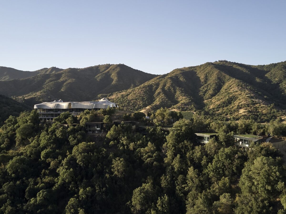 How VIK Chile Is Creating the World’s Most Natural Wine Using Only What ...