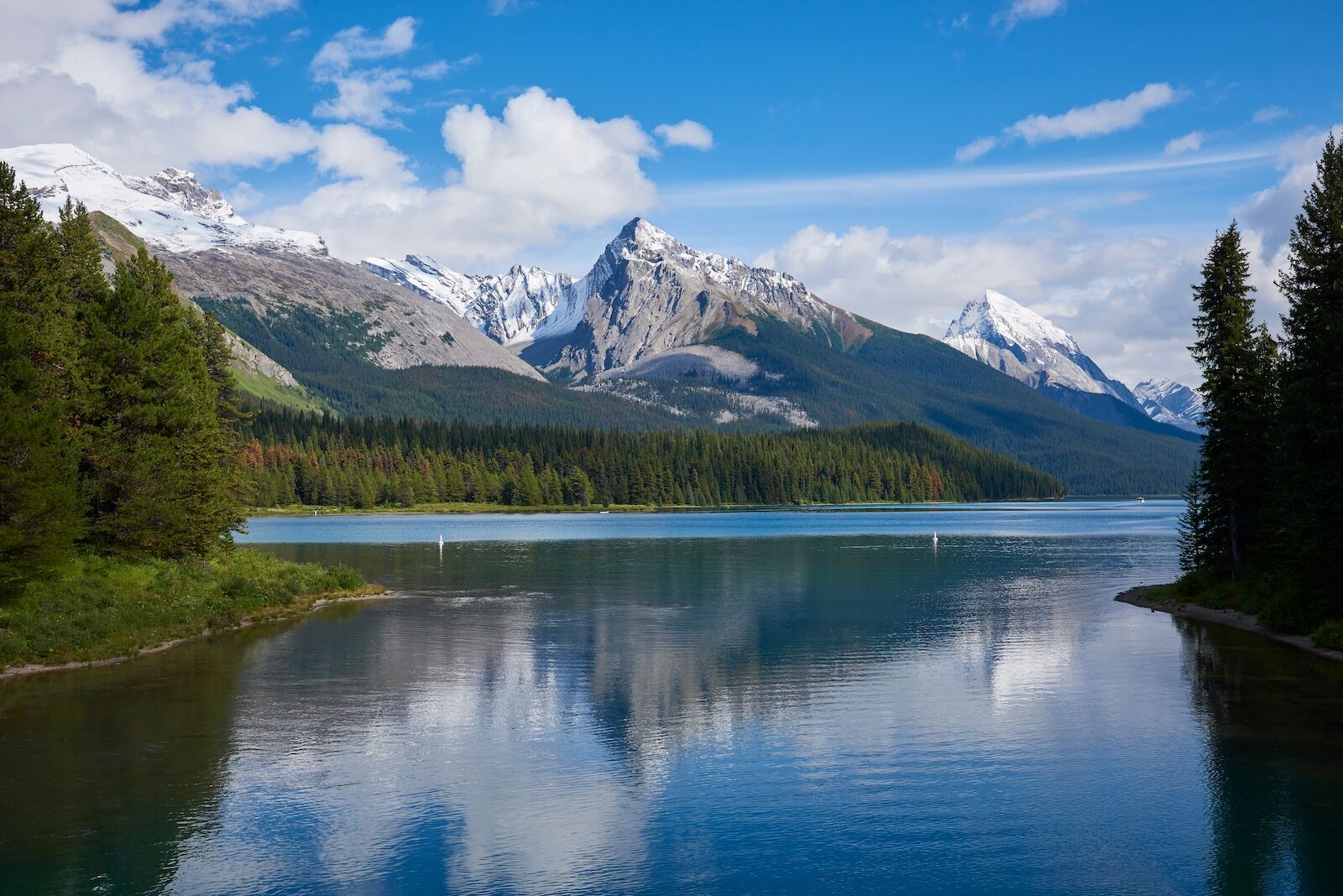 Jasper Wildfire Recovery: How to Visit Responsibly