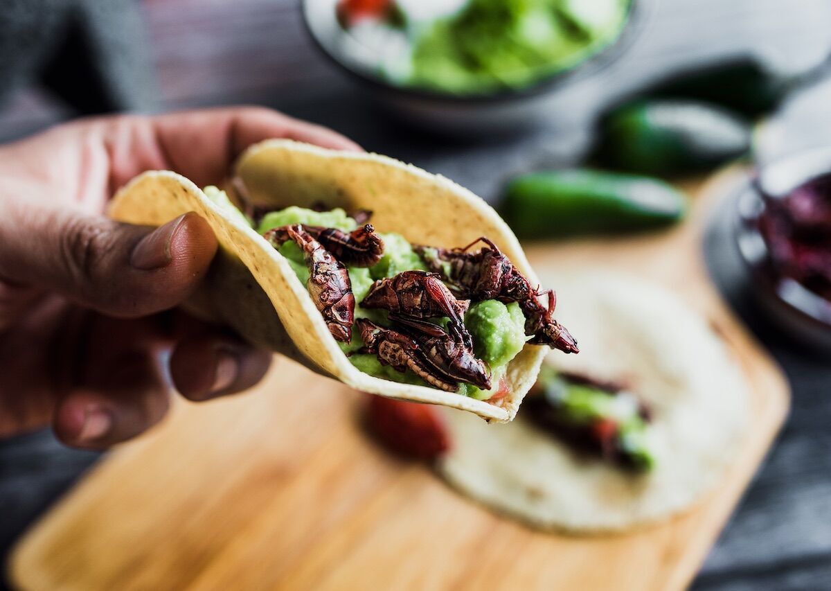 8 cosas aparentemente asquerosas que deberías probar en México ...