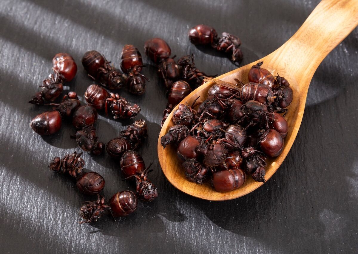 10 delicias de la comida sudamericana que los turistas detestan