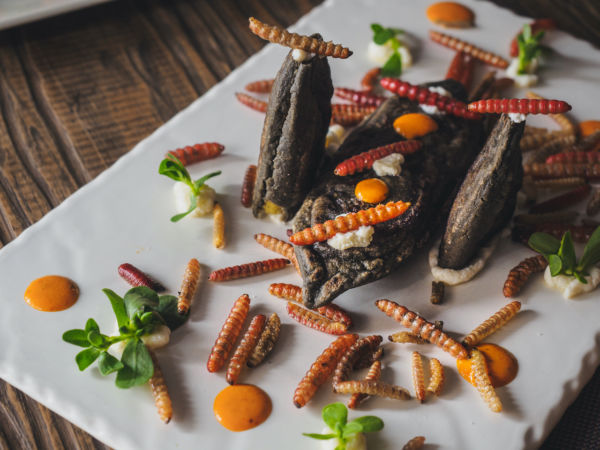 Insectos comestibles de México que debes probar - Matador Español