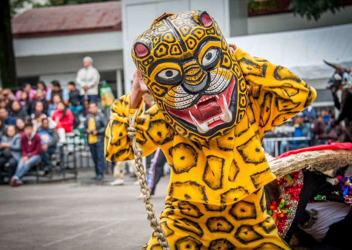 Todo lo que tienes que saber sobre "La Tigrada" de Guerrero