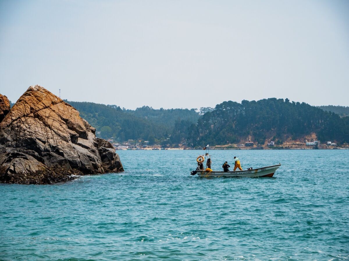 Sabes que estás en Concepción (Chile) cuando…
