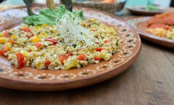 ¿Qué sabes del ahuautle, "el caviar" que desayunaba Moctezuma?