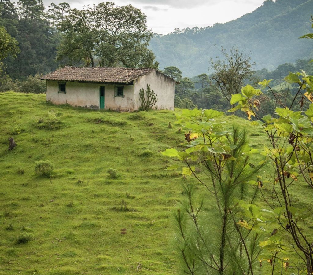 Todo lo que tienes que saber antes de ir a Zacapoaxtla, Puebla ...