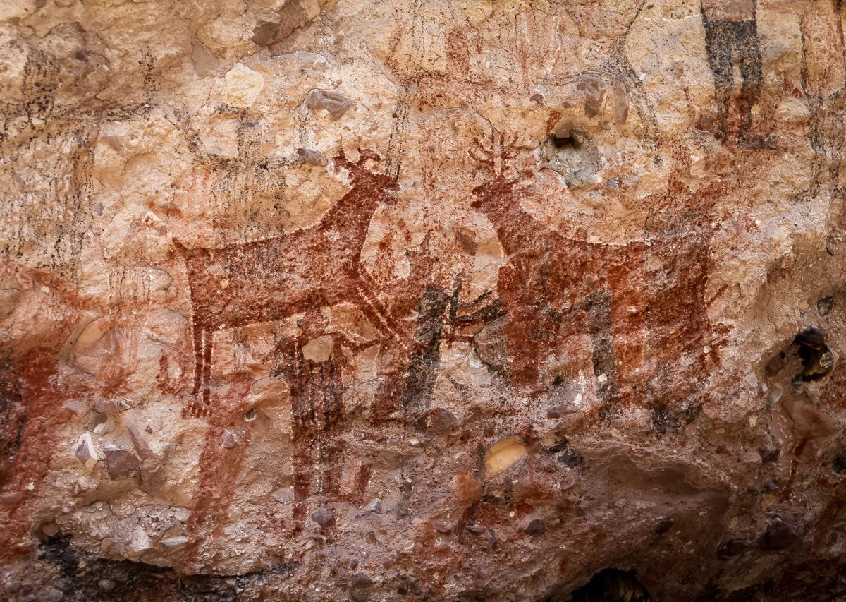 Curiosidades de los grupos indígenas de Baja California - Matador Español