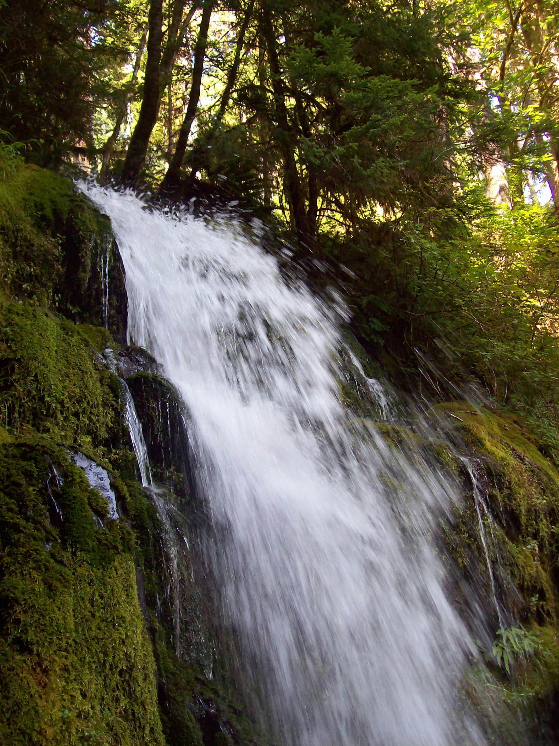 Dusty J Summit: History, Science, Philosophy, and Experimental Narratives